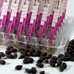 GMO ImmunoStrip® Tests