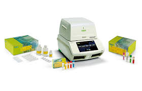 PCR Detection Kits